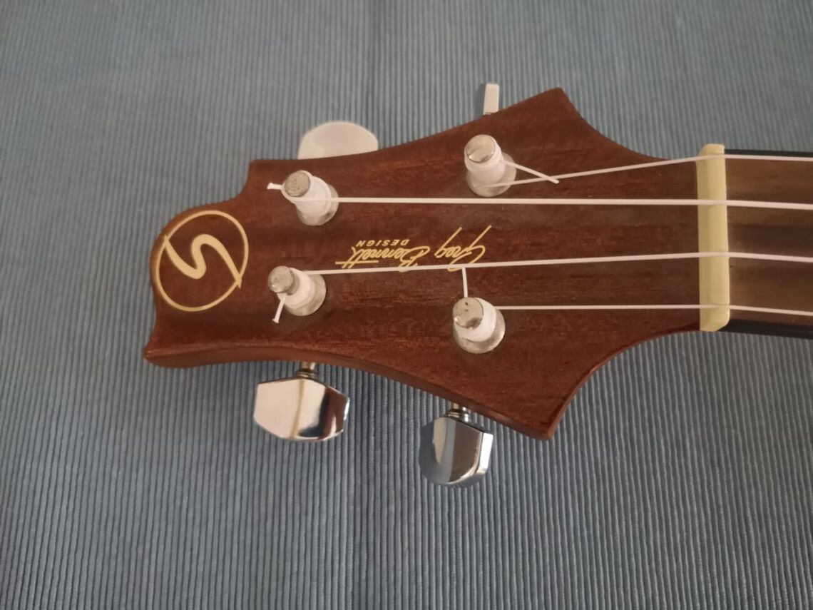 Saiten für die Ukulele finden – Ratgeber | bandup